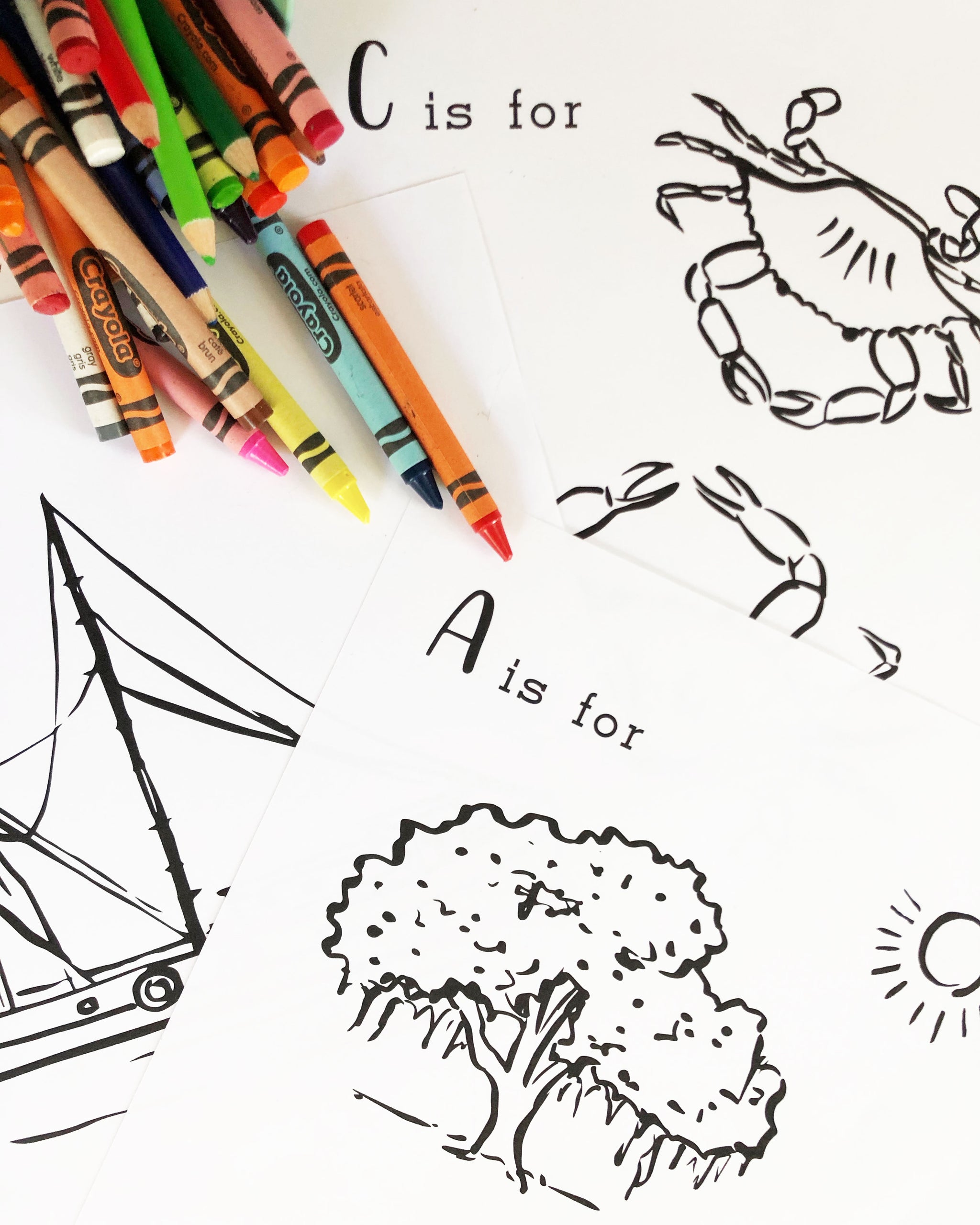 Charleston Activity and Coloring Sheets for Kids – Texture Design Co.